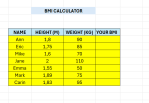 EXCEL BMI CALCULATOR – Excel tutorials