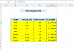 EXCEL BMI CALCULATOR – Excel tutorials